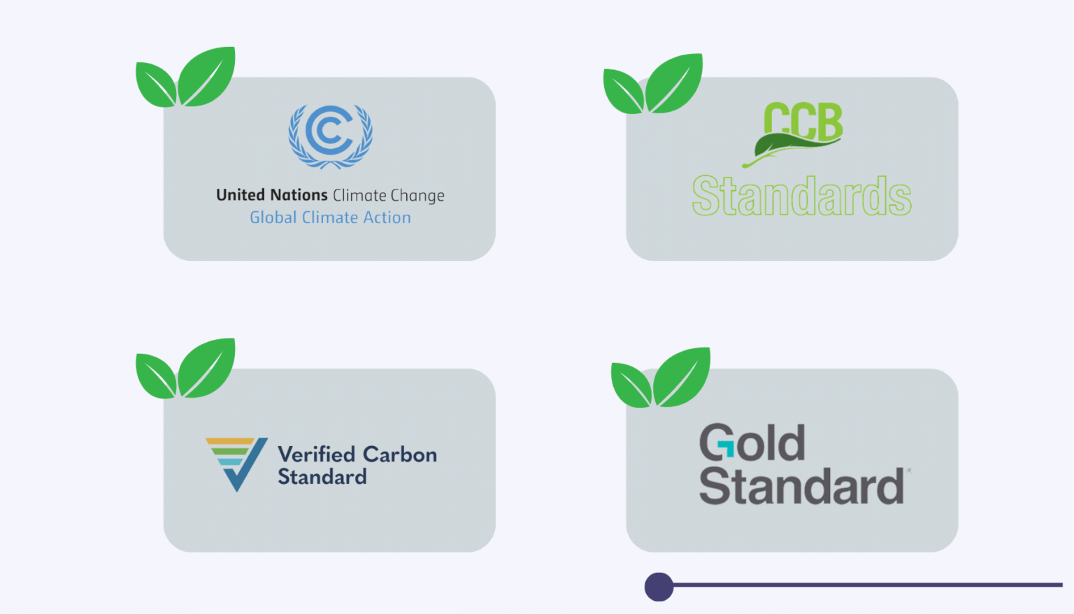 Best Carbon Offset Programs for Your Company